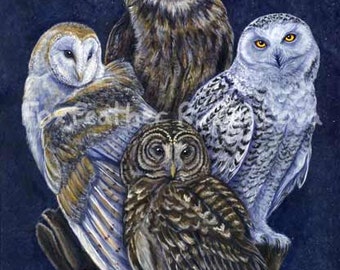 Owl Stack Painting Print Wall Art Bird Stack Barn Owl | Etsy