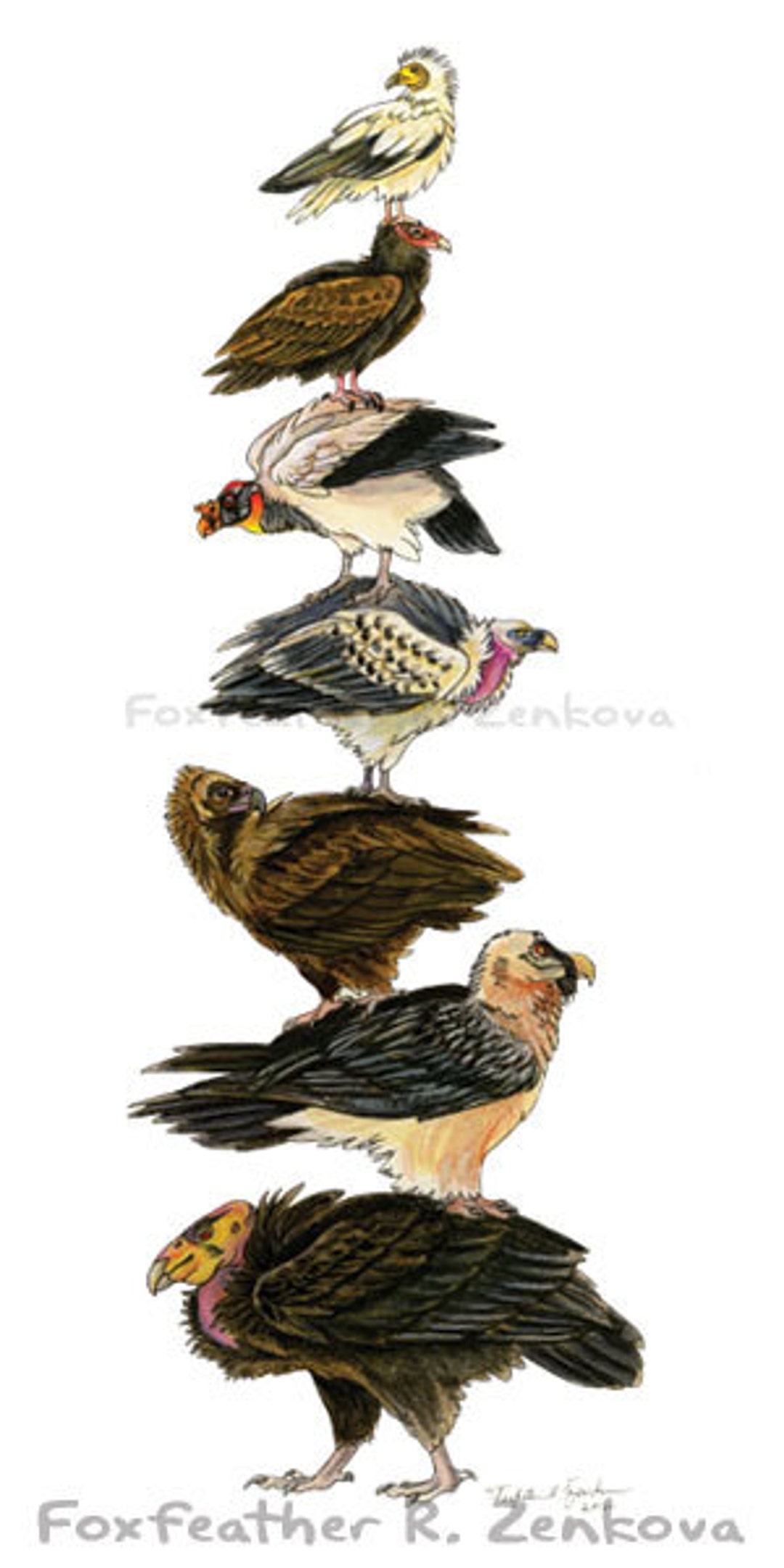 Vulture Stack Painting Print - Wall Art, Bird Stack, Turkey, Griffon ...