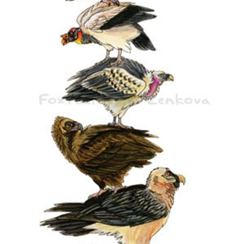 Corvid Stack Painting Print Wall Art Bird Stack Crow - Etsy