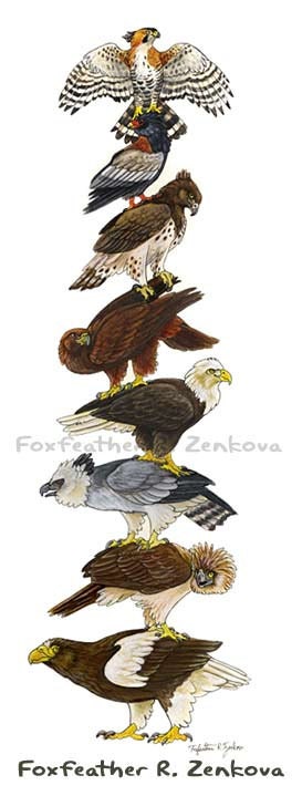 Eagle Stack Painting Print Wall Art Bird Stack Harpy - Etsy