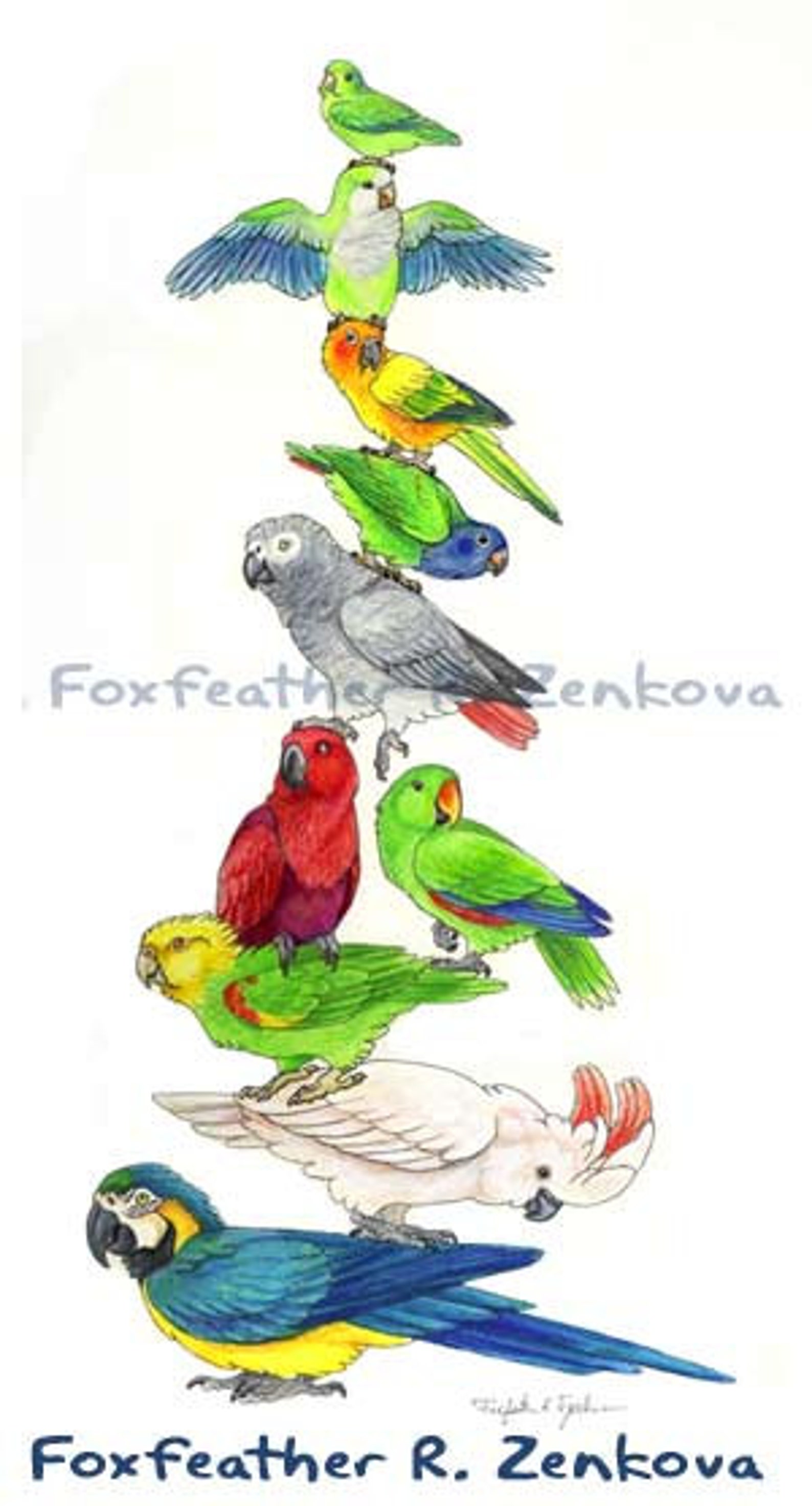 Parrot Stack Painting Print Wall Art Bird Stack Macaw | Etsy