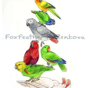 Parrot Stack Painting Print Wall Art Bird Stack Macaw - Etsy