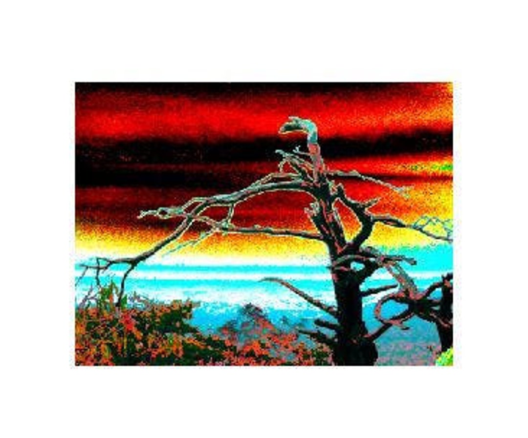 Native American Art Print, Barren Tree, Indigenous Spirituality (8x10 ...