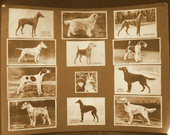 Antique Dog Ephemera - Etsy