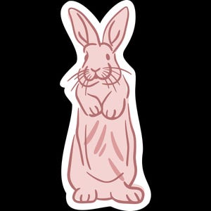 Pink Bunny Stickers PNG Files - Etsy