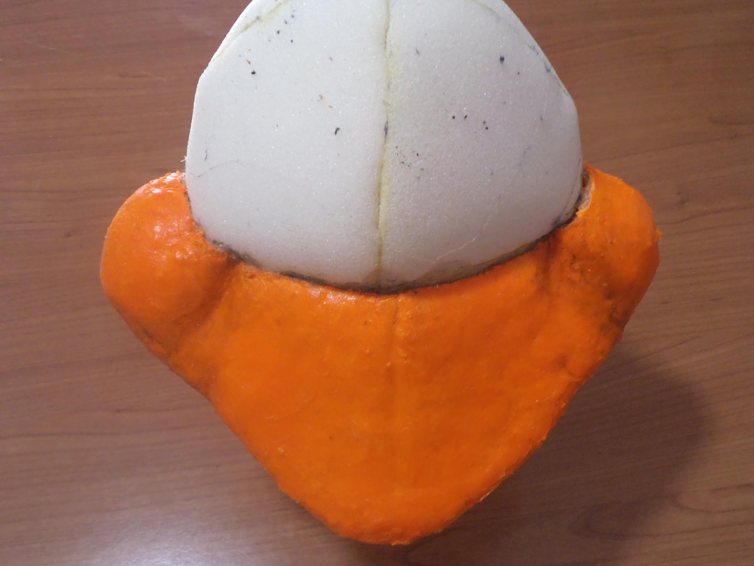 PDF Template for Beak With Ruddy Cheeks for Puppets - Easy, Realistic ...