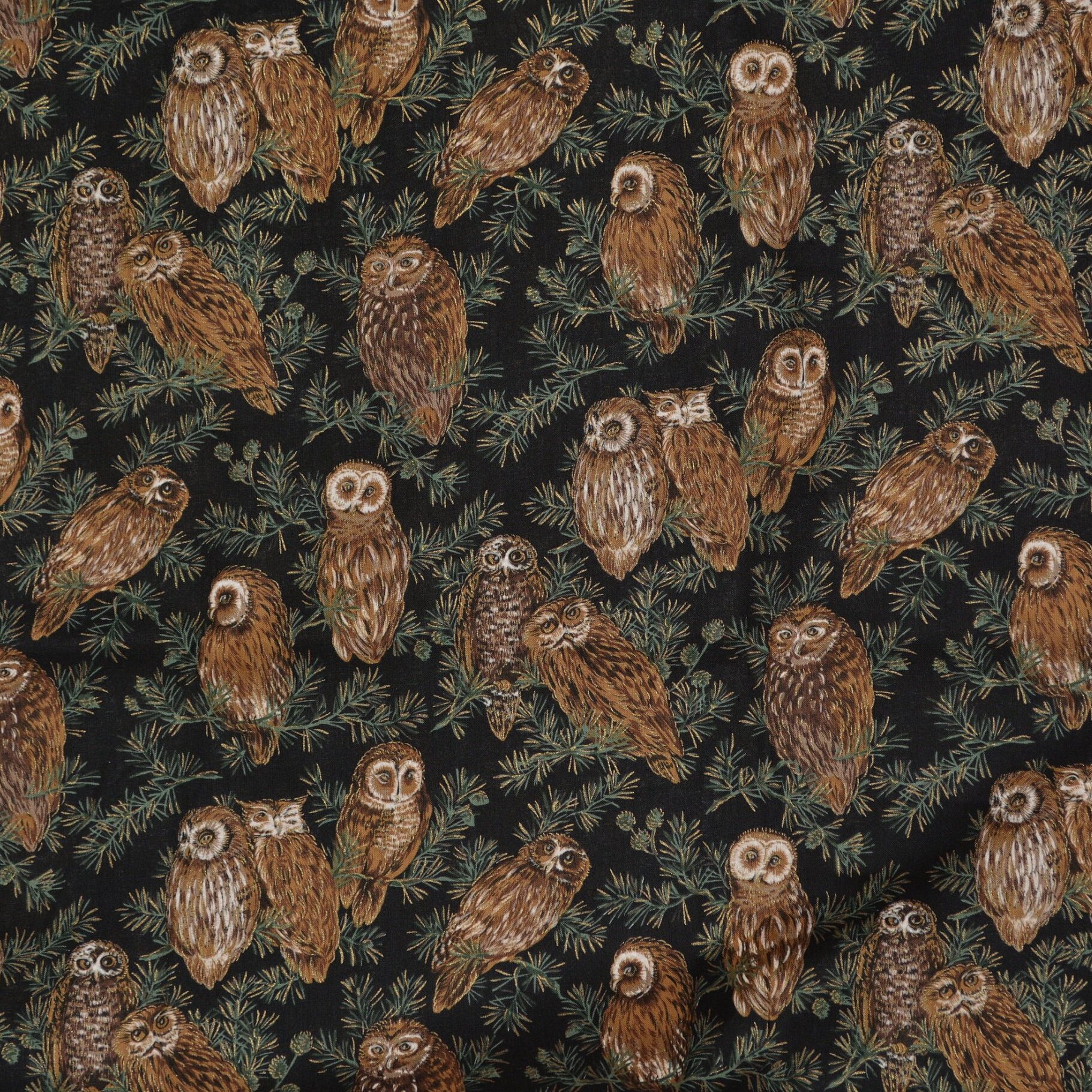 Owl Fabric Print