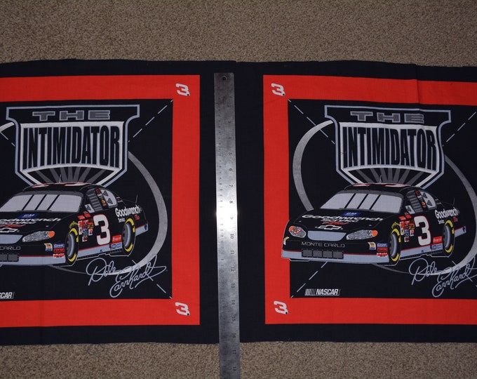 2 Fabric Panels Dale Earnhardt Nascar Fabric the Intimidator Goodwrench ...