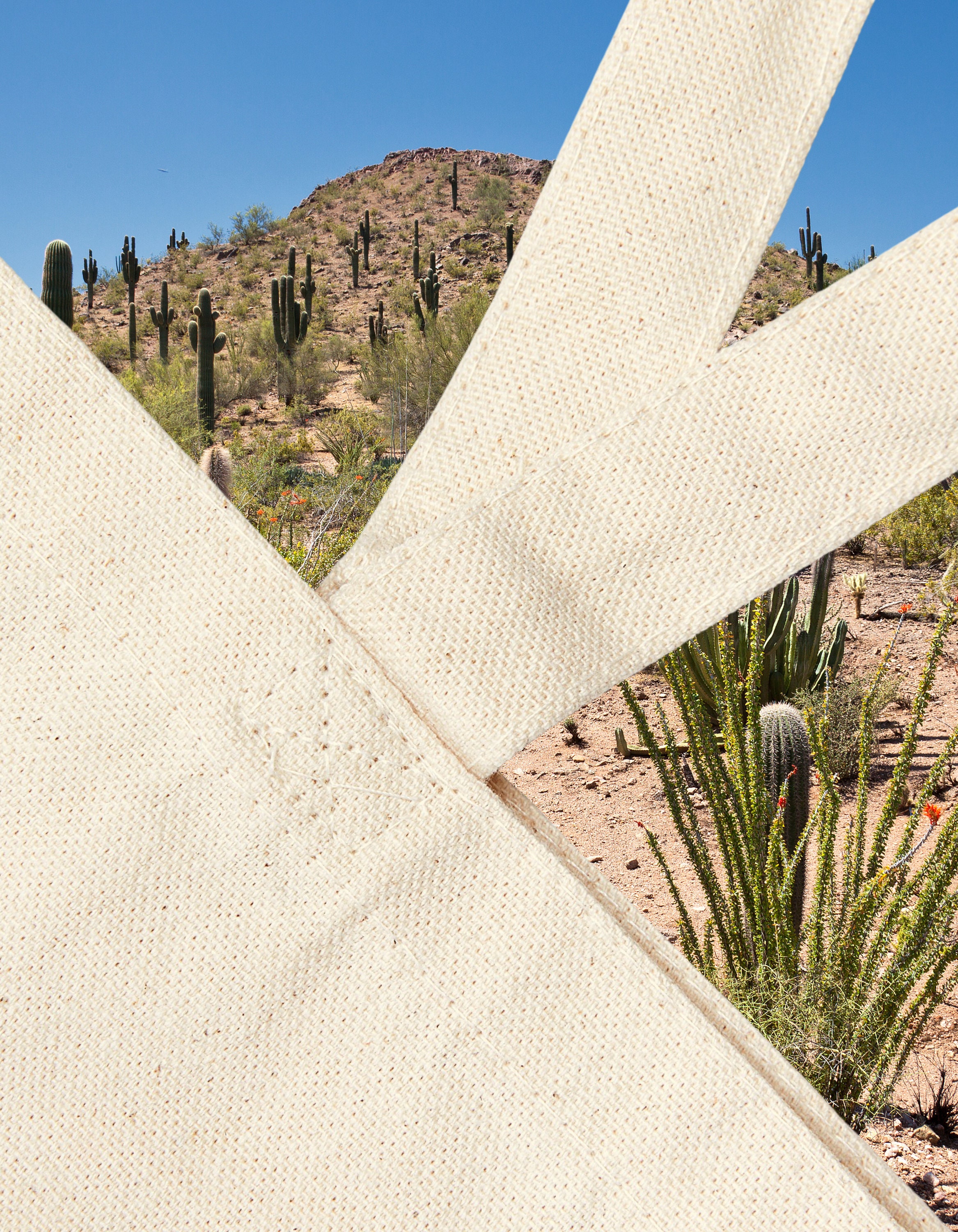 El Desierto Tote Bag,sonoran Desert Painting Bag,spanish Quote Gift ...