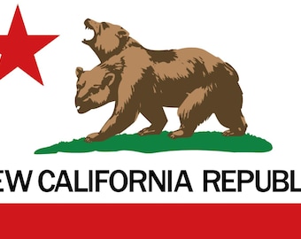 Fallout NCR Flag Enamel Pin RESTOCKED - Etsy