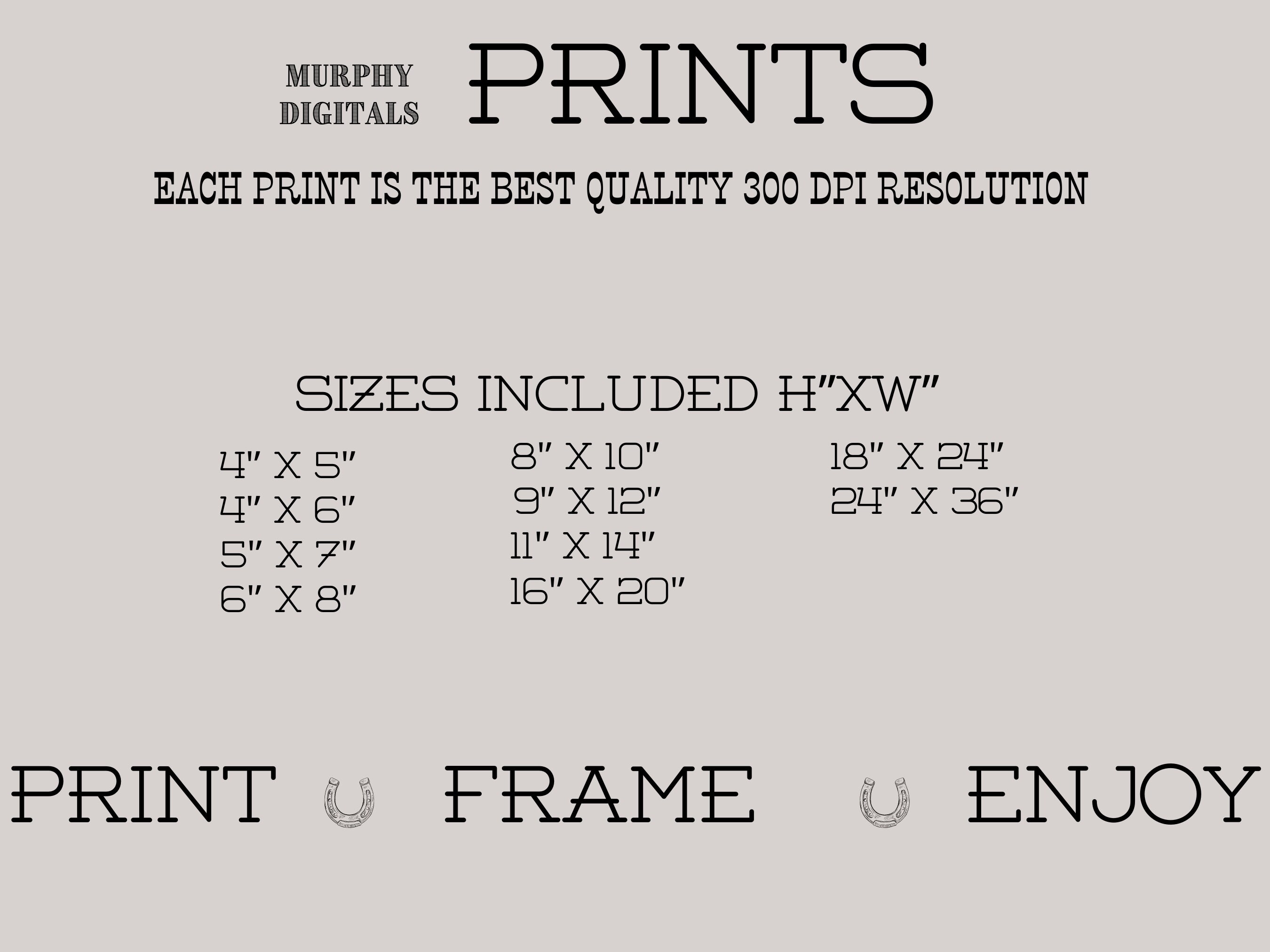 Longhorn Cow Print, Printable, Rustic Wall Decor, Ranch Print, Farm ...