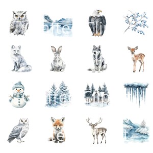 Watercolor Winter Wonderland Clipart, Arctic Baby Animals, Christmas ...