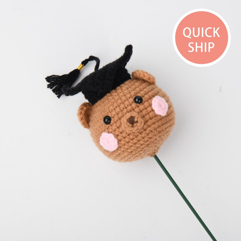 Graduation Doll - Etsy