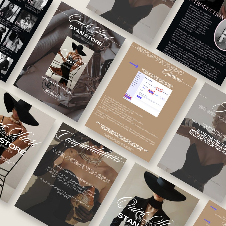 UBC Course Stan Store Ultimate Branding Course Done for You Stan Store Guide to Sell Lead Magnet ...