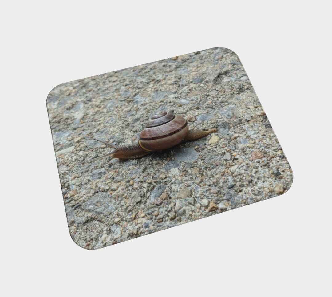 Desk Mat | Concrete Snail - Etsy