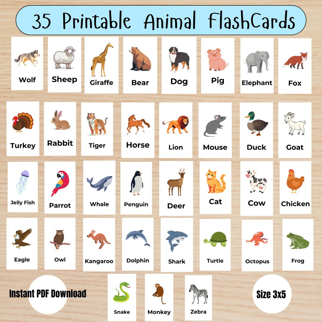 Animal Flashcards for Kids – Printable PDF | Educational Learning Cards ...