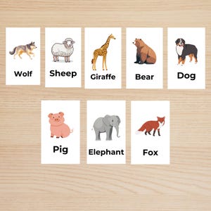 Animal Flashcards for Kids – Printable PDF | Educational Learning Cards ...