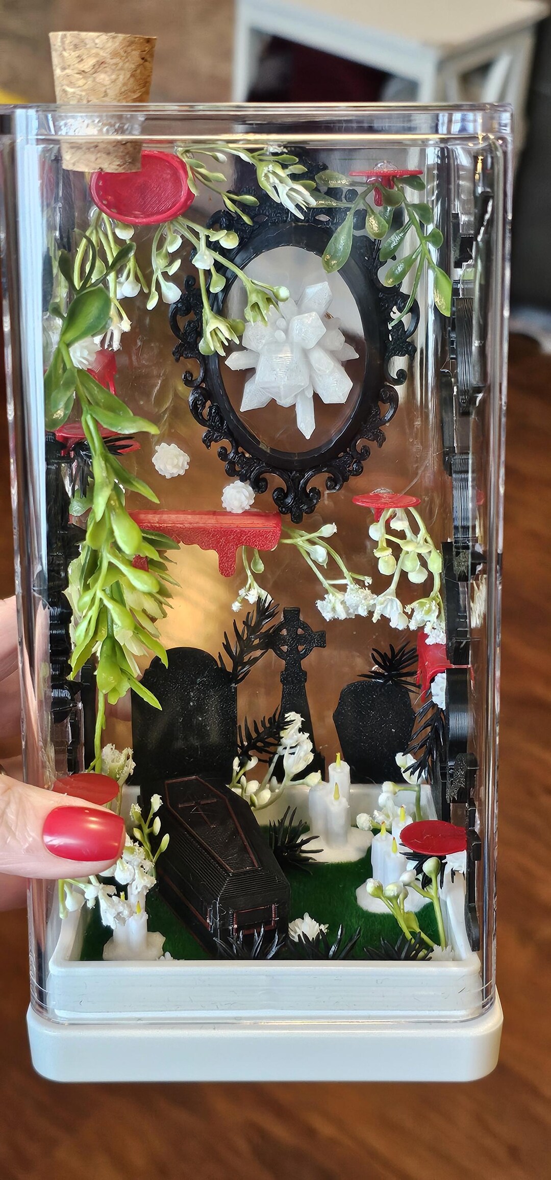 Coffin/vampire Themed Jumping Spider Home - Etsy