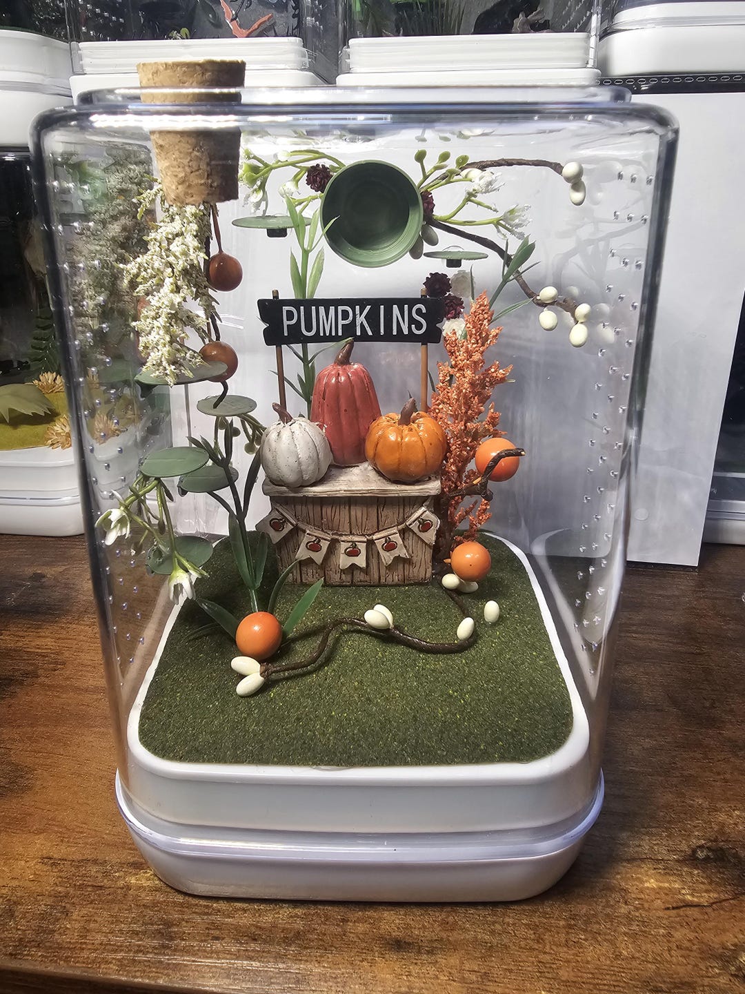 Hello Fall Themed Jumping Spider Home - Etsy