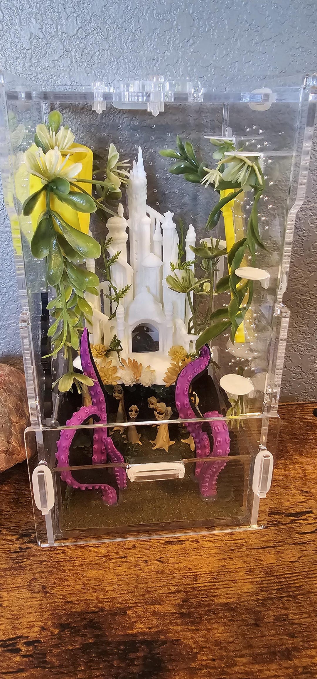 Front Opening Lighted Little Mermaid Themed Jumping Spider Home. - Etsy