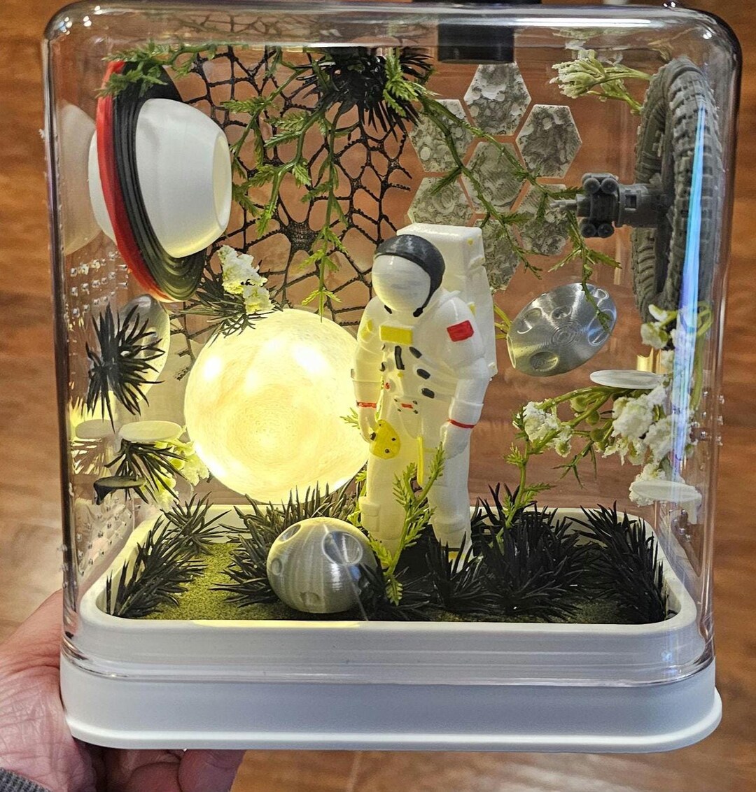 Space Themed Jumping Spider Home - Etsy