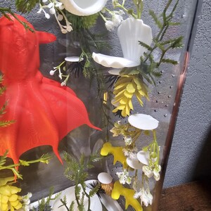 Vampire Squid Themed Jumping Spider Home - Etsy