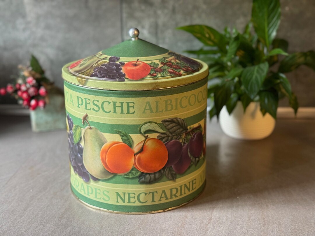 Vintage Italian Panettone Biscuits Tin Box With Fruit Motifs - Etsy