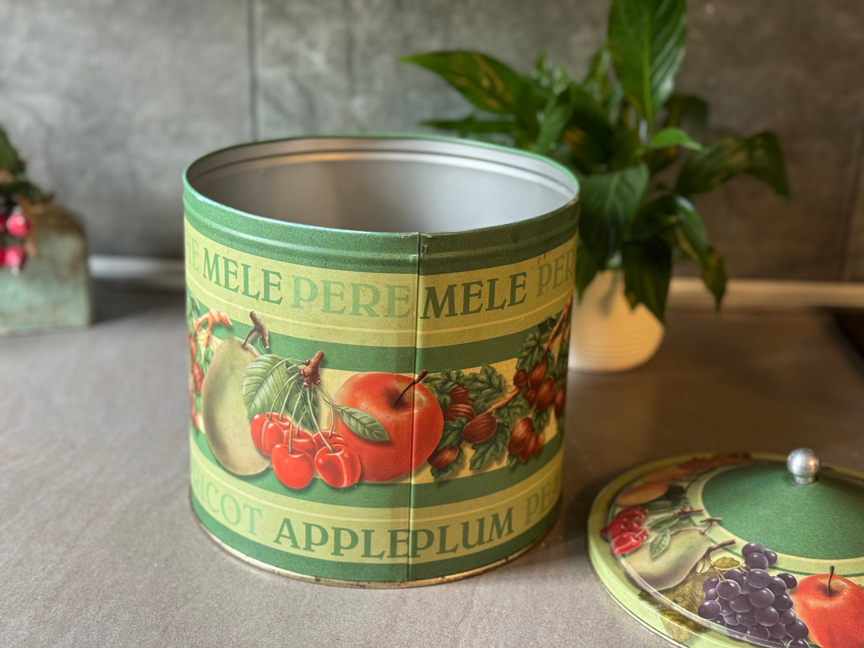 Vintage Italian Panettone Biscuits Tin Box With Fruit Motifs - Etsy