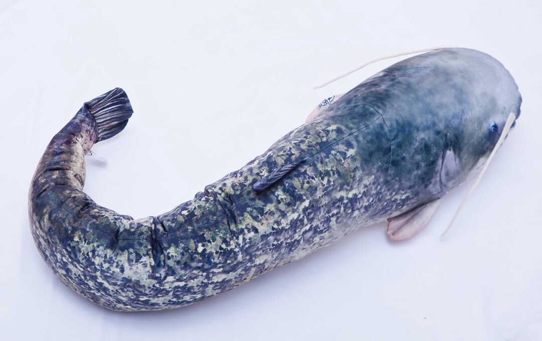 CATFISH Fish Pillow – Handsewn, Photorealistic, and Amazingly ...
