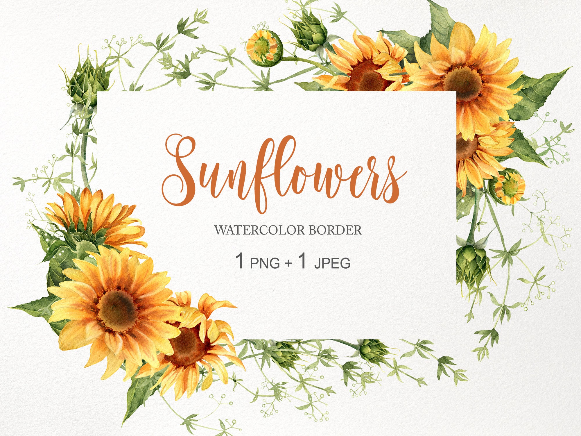 Sunflower Border Clipart. Watercolor Sunflower Frame PNG. Sunflower ...