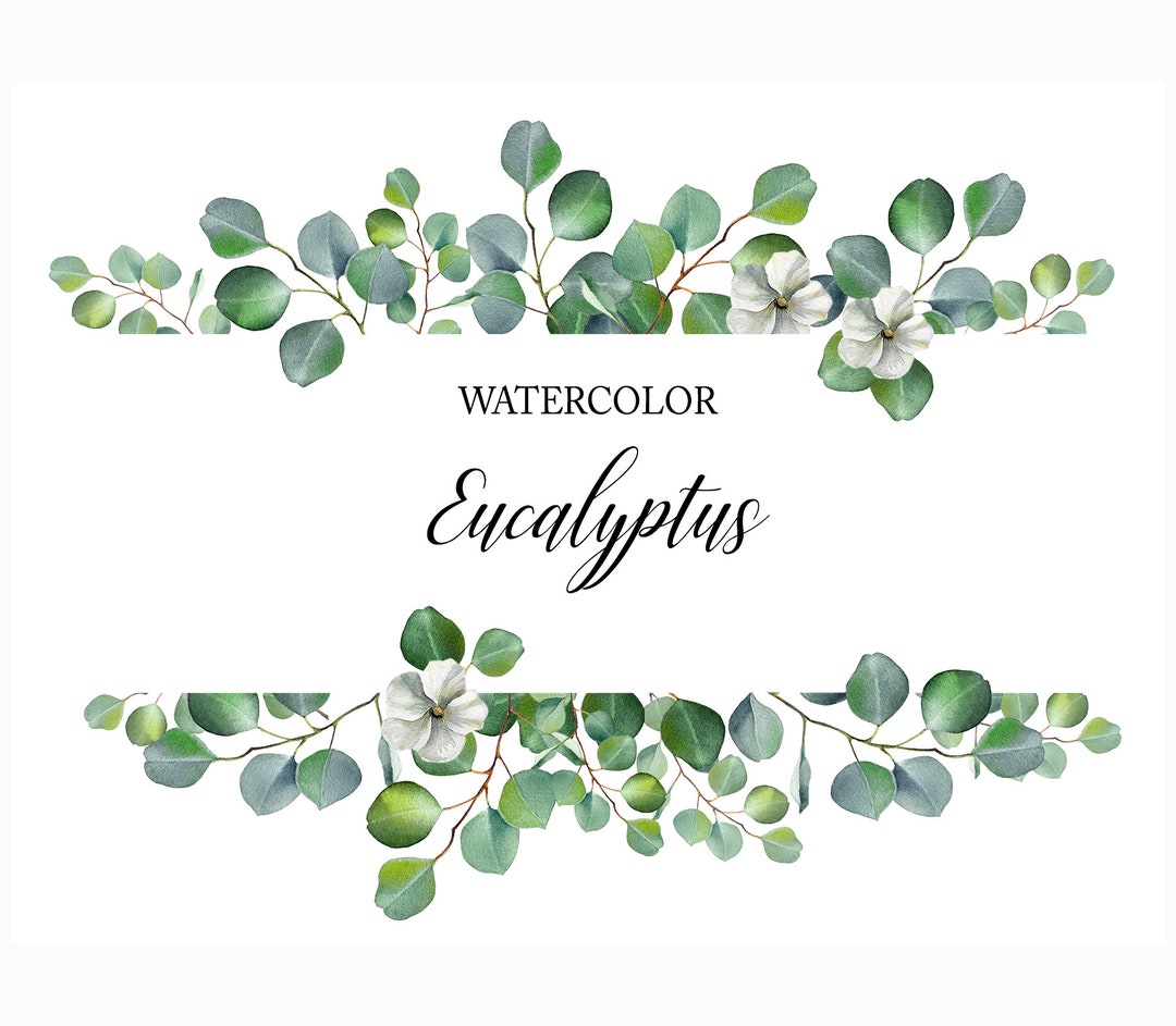 Watercolor Eucalyptus Border Clipart. Greenery Frame PNG. Green Branch ...