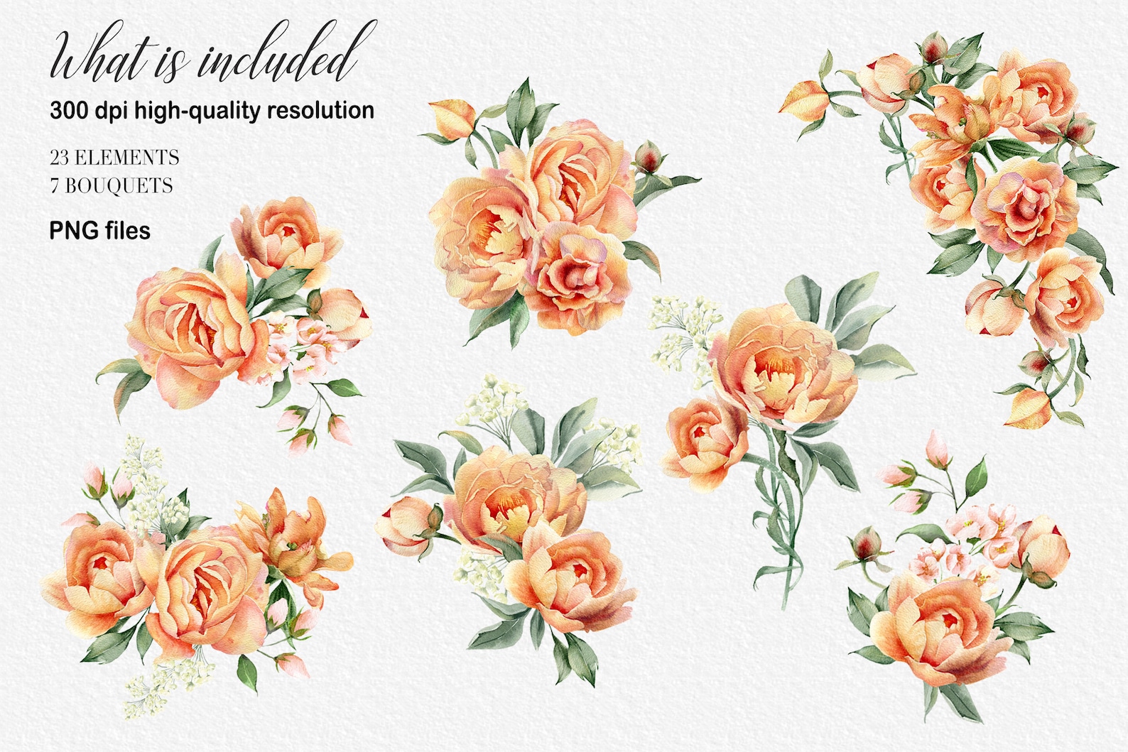 Peach Peony Floral Clipart. Watercolor Apricot Orange Flowers PNG ...