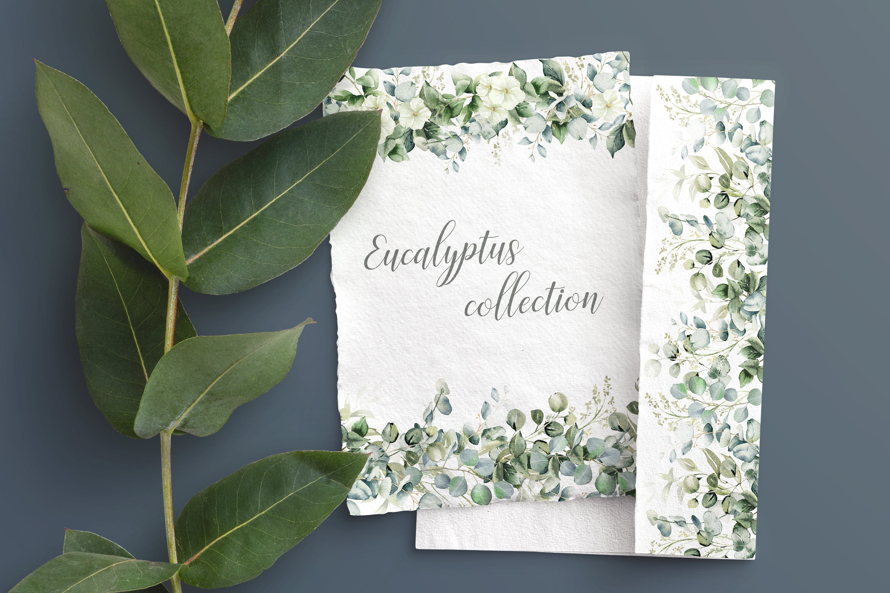 Watercolor Eucalyptus Border PNG. Greenery Garland Clipart. Seamless ...