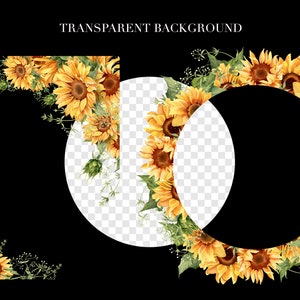Sunflower Frame & Wreath Clipart. Seamless Border PNG Background ...