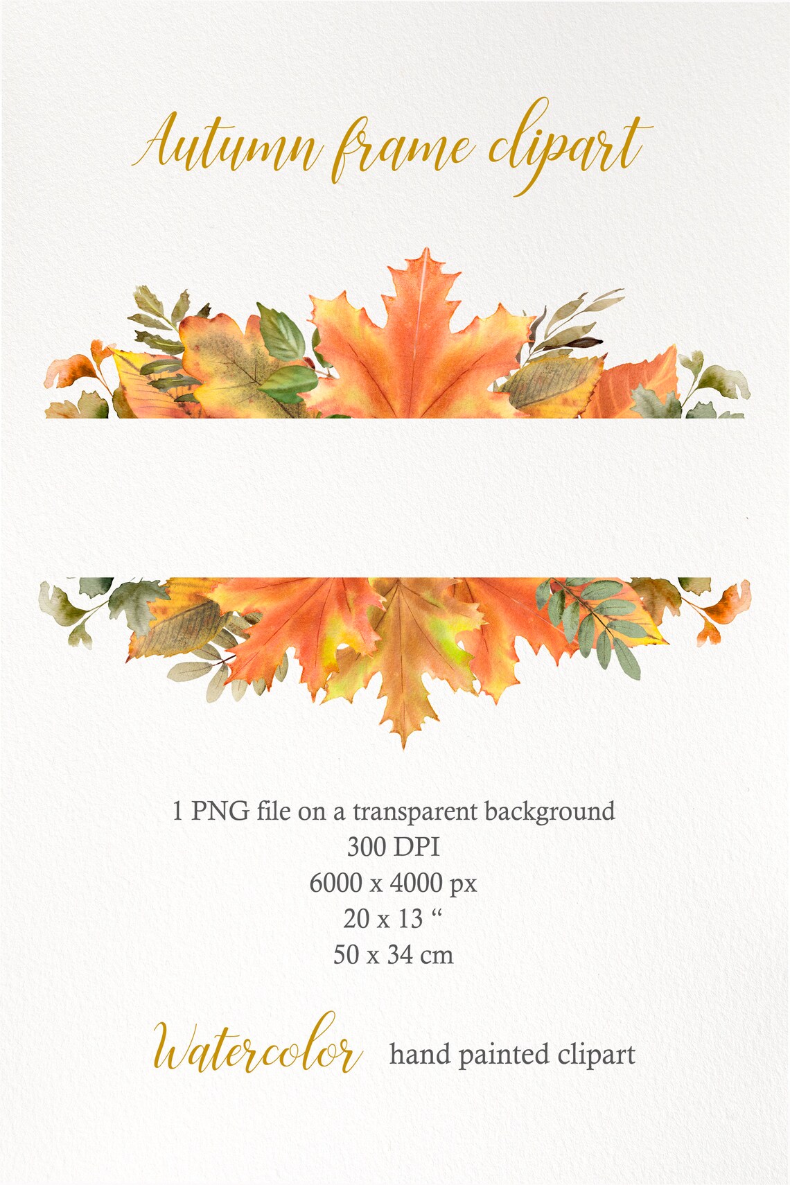 Watercolor Autumn Border PNG. Fall Leaves Frame Clipart. Maple Leaf ...