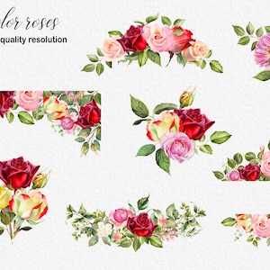 Roses Flower Clipart. Realistic Botanical Illustration Bundle. Pink ...