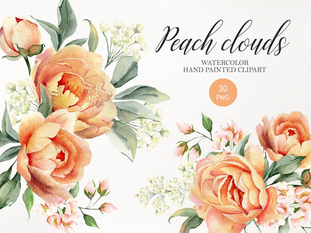 Peach Peony Floral Clipart. Watercolor Apricot Orange Flowers PNG ...
