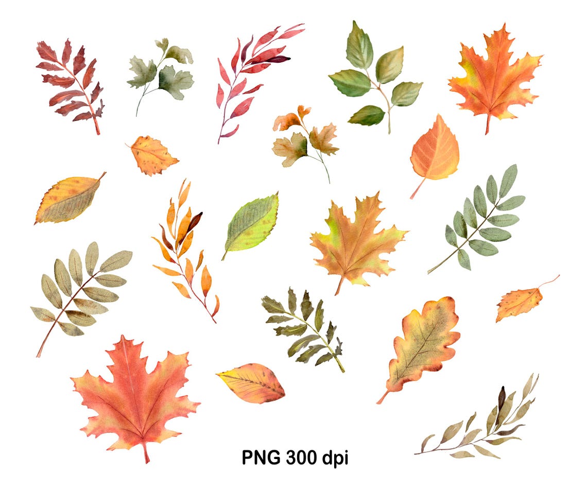 Fall Leaves Clipart. Watercolor Autumn Wreath. Autumn Foliage Clip Art ...