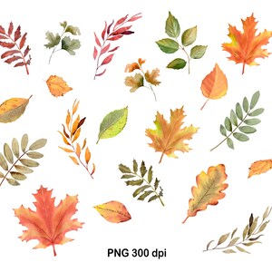 Fall Leaves Clipart. Watercolor Autumn Wreath. Autumn Foliage Clip Art ...