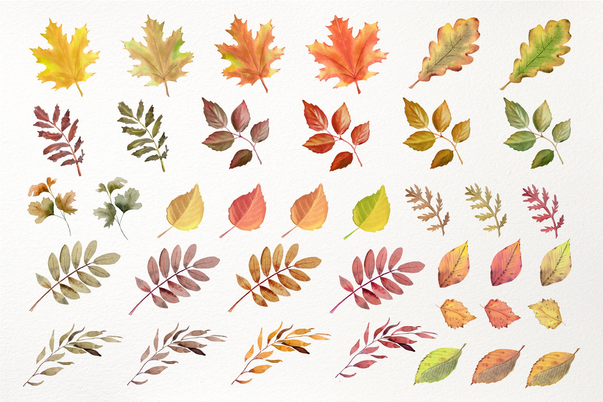 Fall Leaves Clipart. Watercolor Autumn Border PNG. Maple Leaf Corner ...