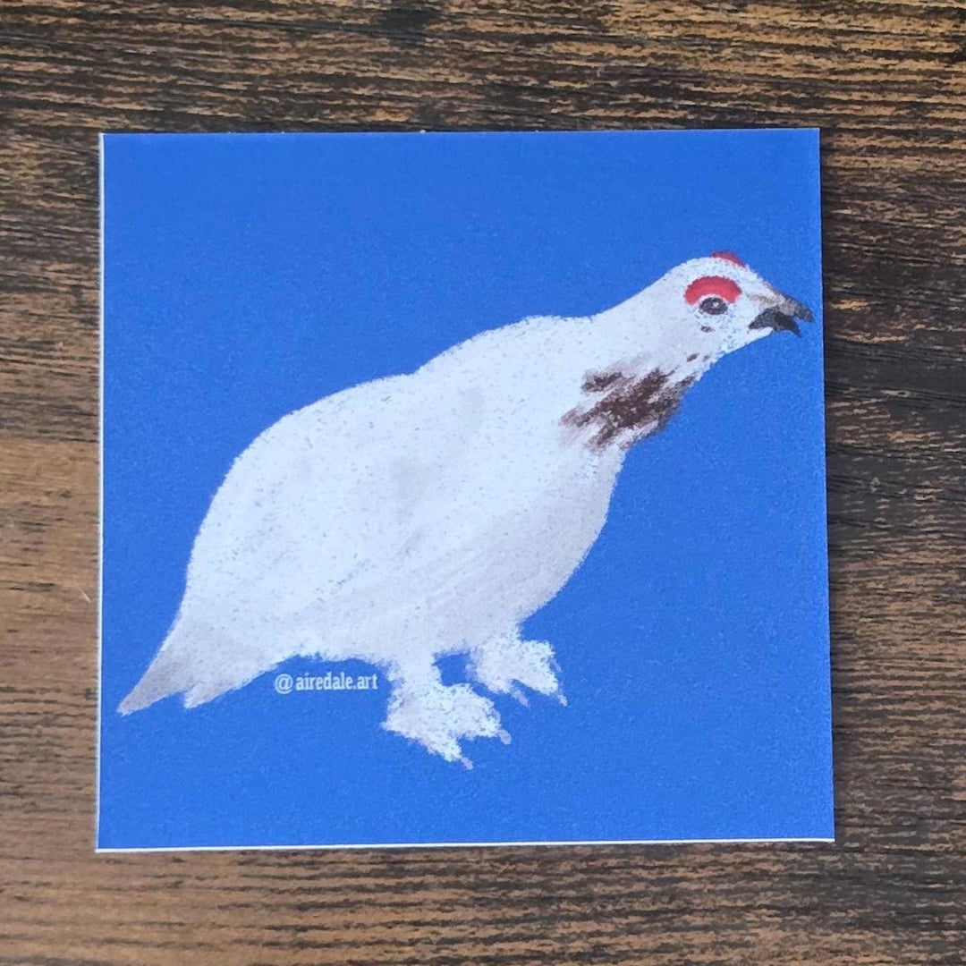 Awebo Vinyl Sticker - Etsy