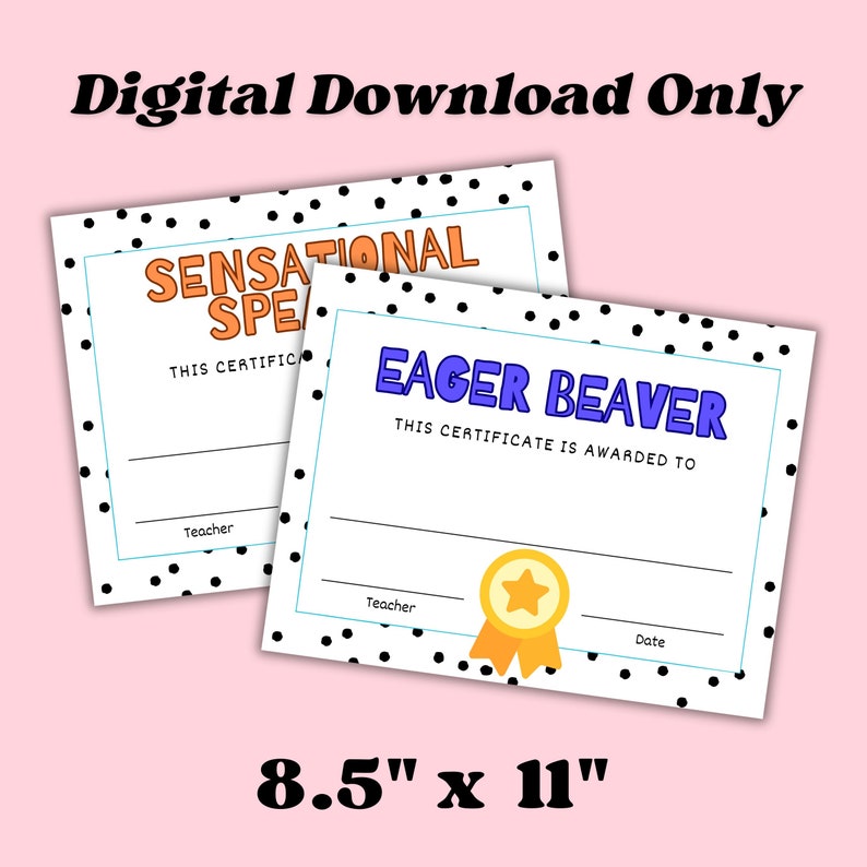 End of Year Classroom Award Certificates | 25 Total Awards Teacher ...