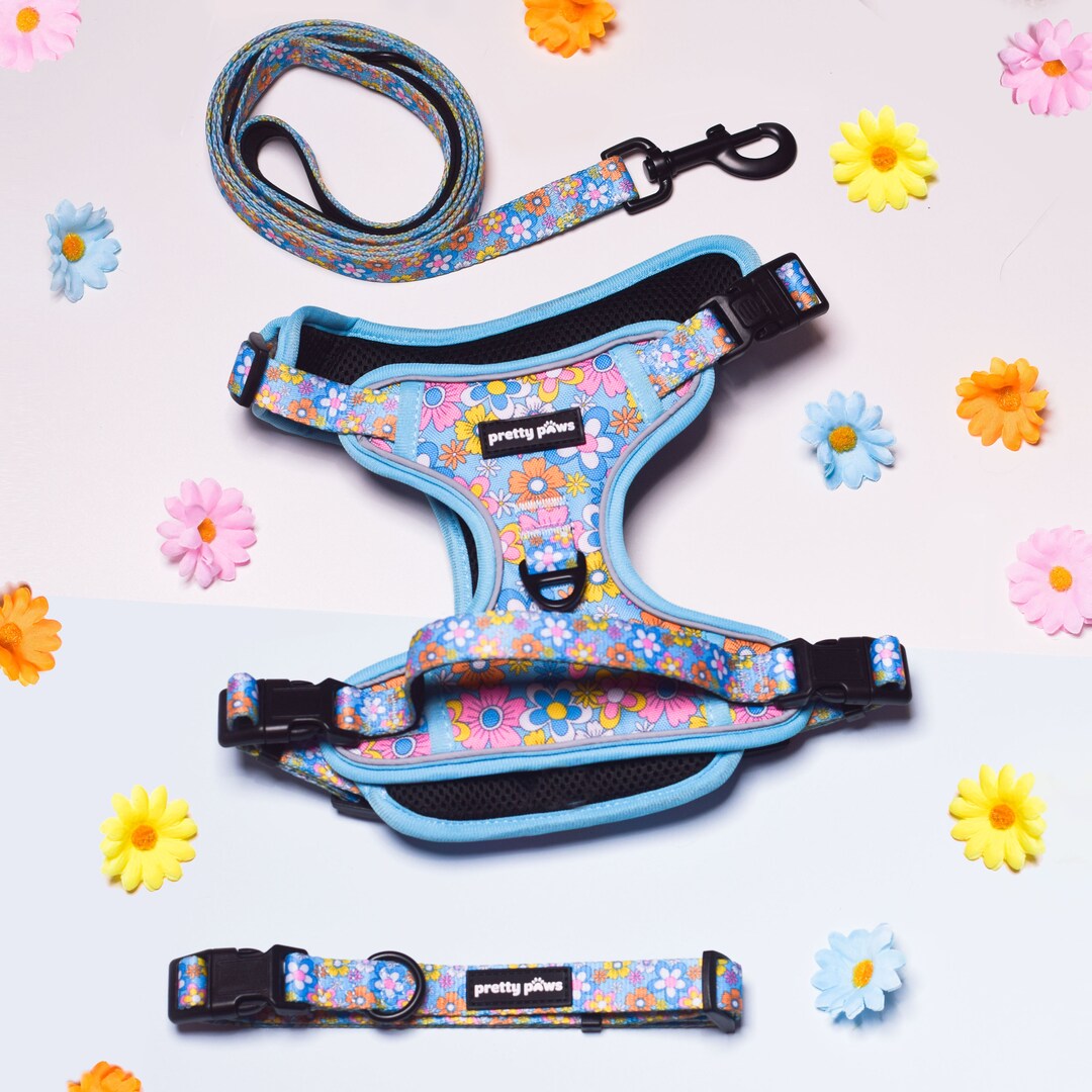 Adjustable Dog Harness Collar Leash Set No Pull Dog Harness in Cute and ...