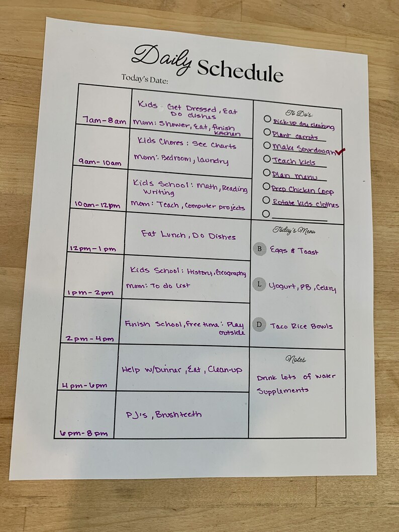Daily Schedule, Simple Schedule, Planner, Block Schedule, Productivity ...
