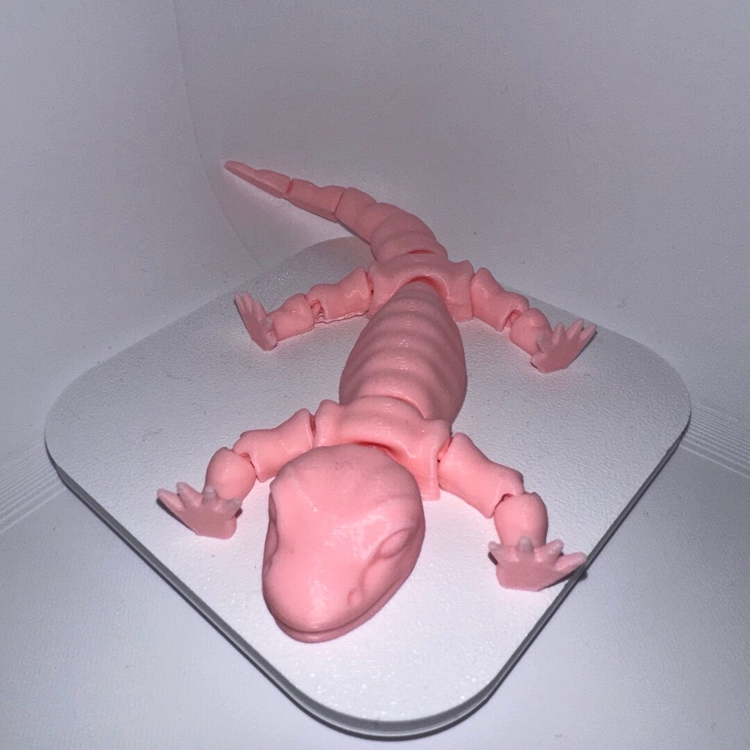 3D Printed Flexi Articulated Cute Salamander Fidget, Desk Toy. Various ...
