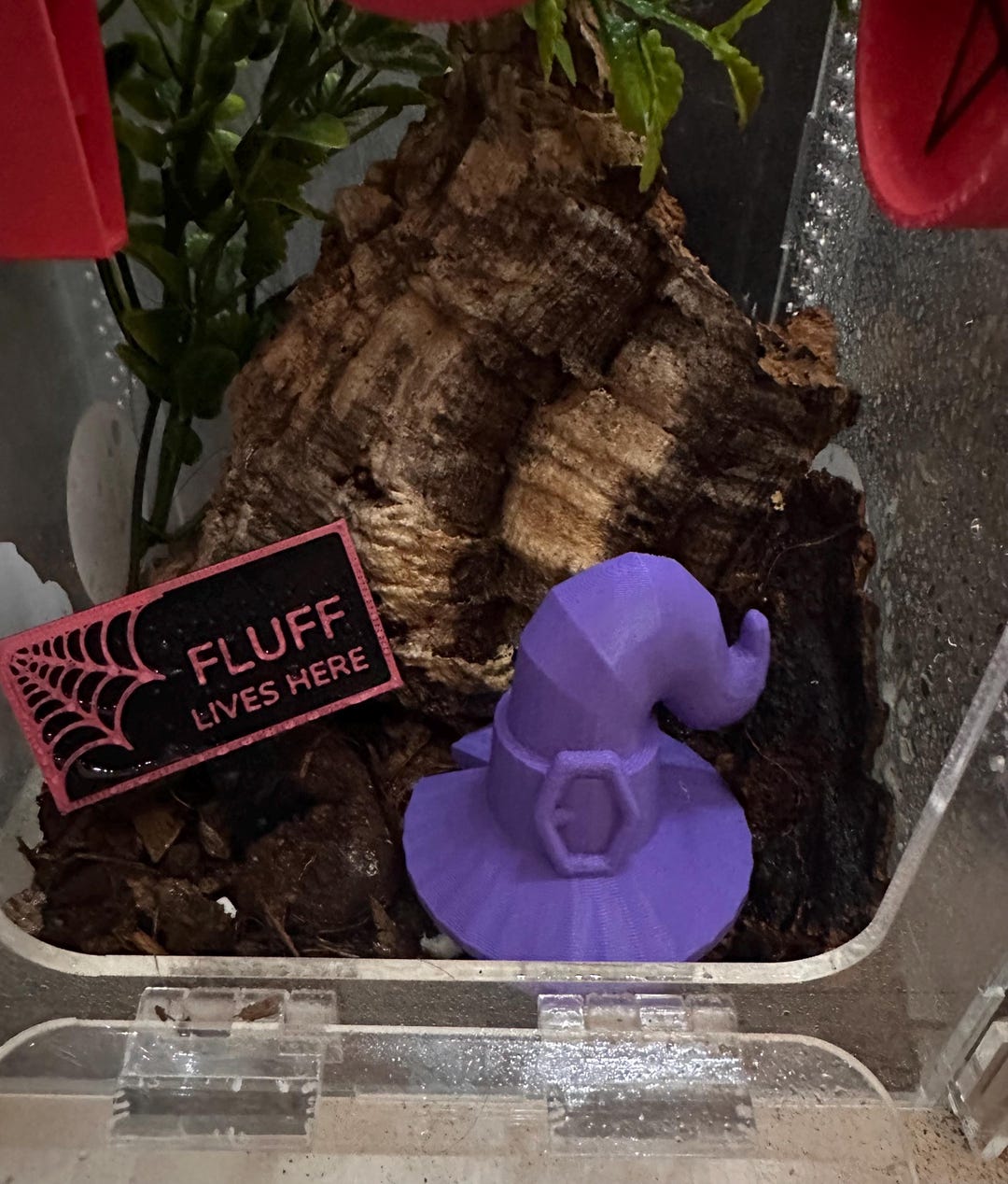 Jumping Spider Hide, 3D Printed Gothic Witch Hat Hide, Tarantula Decor ...