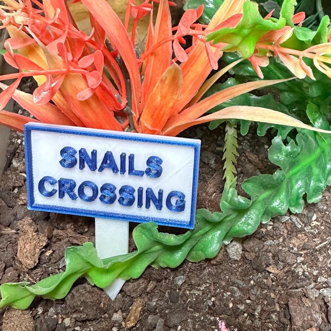 Personalised Name Sign for Jumping Spider Tank, Suitable for Tarantulas ...