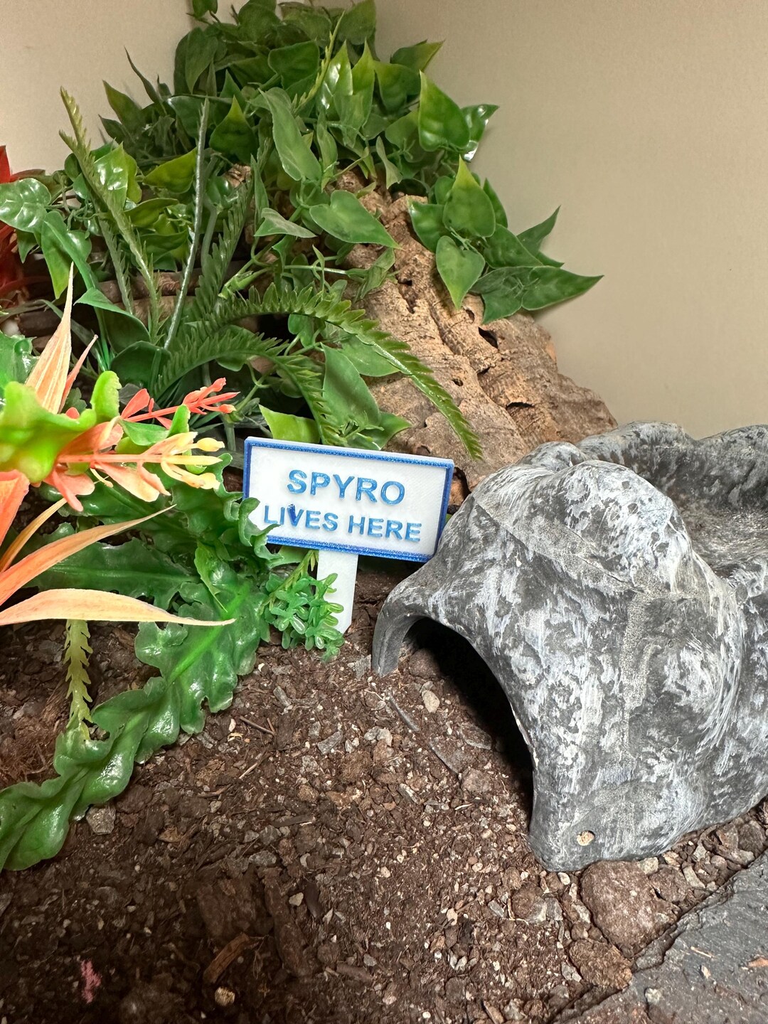 Personalised Name Sign for Snakes, Geckos, Reptiles, Pet Accessories ...