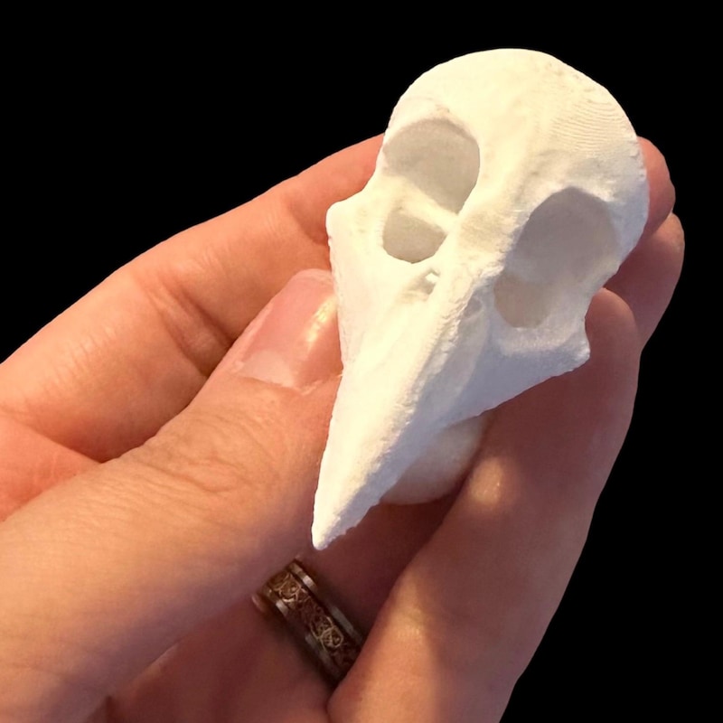 Animal Skulls Package - Etsy UK