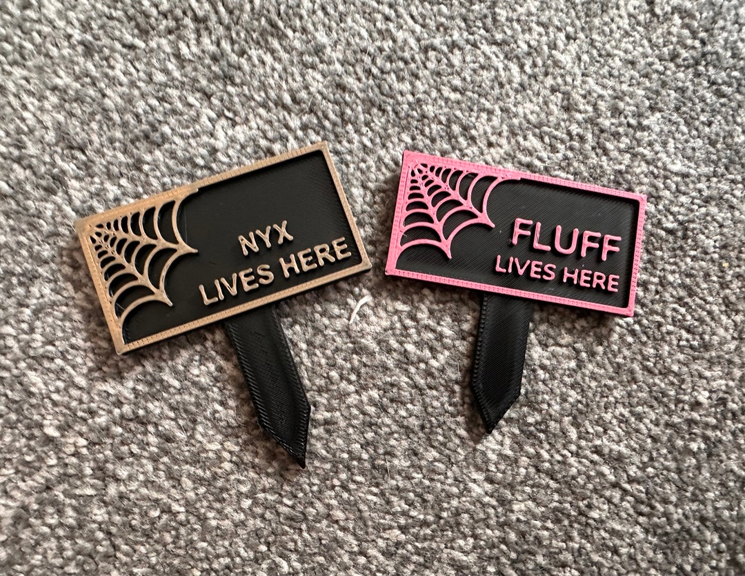 Personalised Name Sign for Jumping Spiders Tank, Tarantulas, Inverts ...